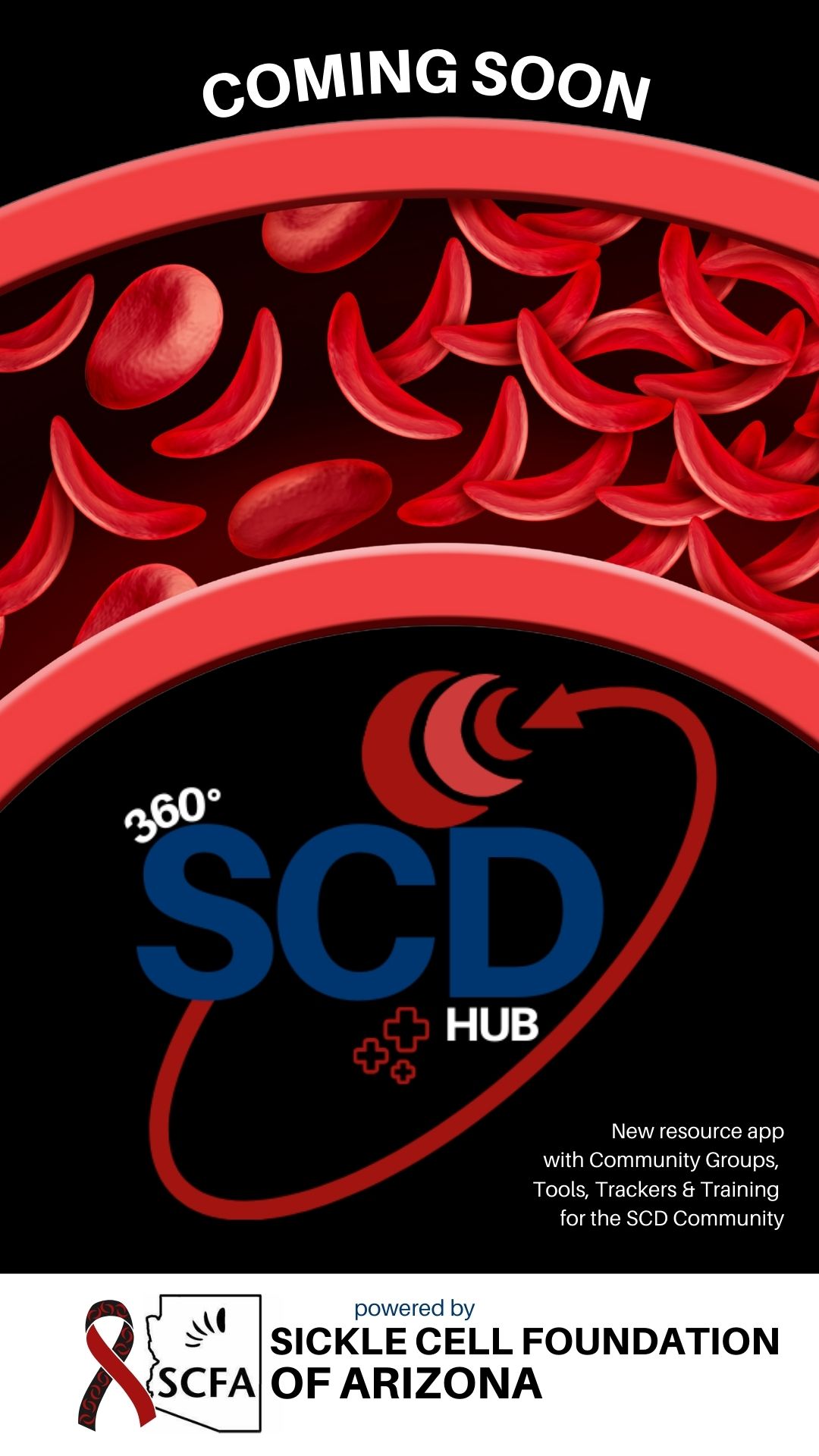 Down for Maintenance | 360° SCD Hub